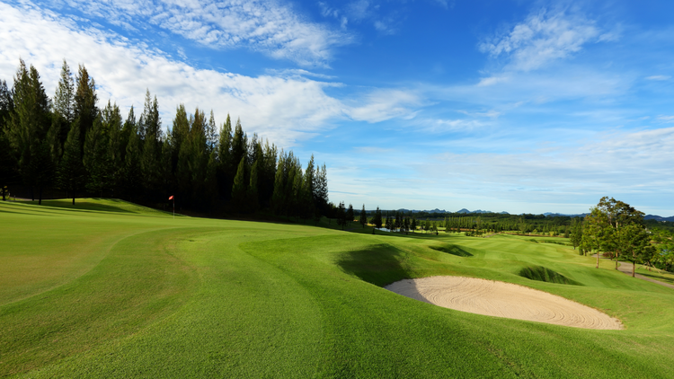 Birds Golf Sports Lounge | Golf Simulators | Leagues | Family Fun